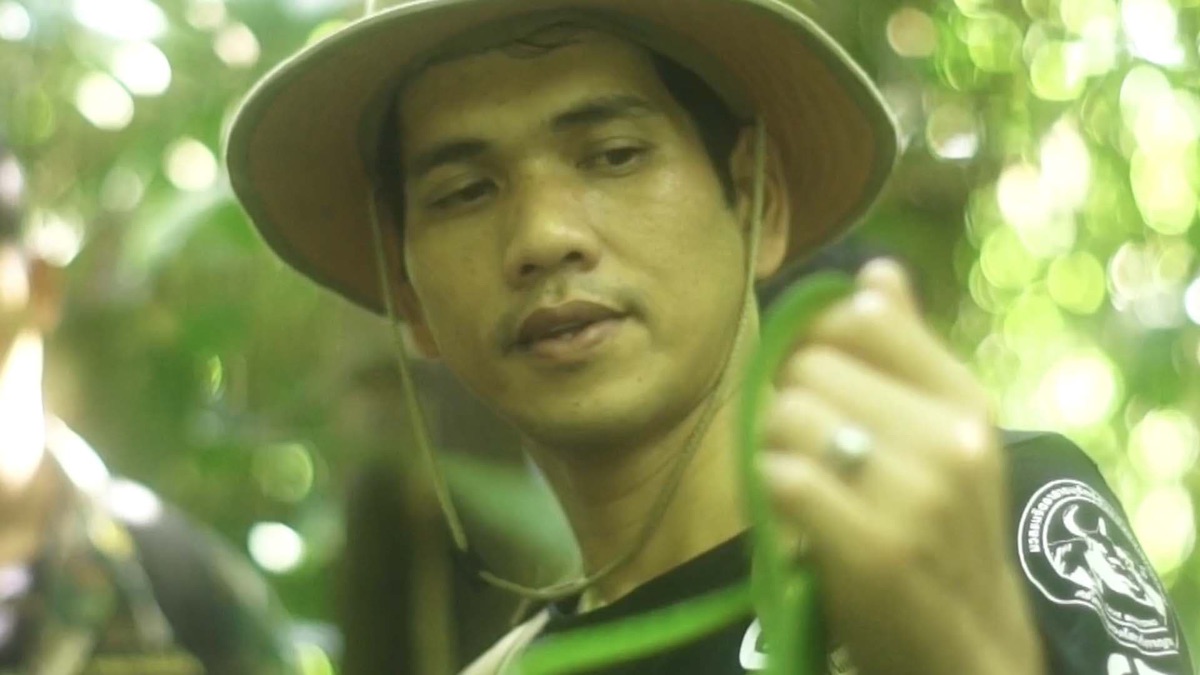 ‎Trailing Giant King Cobras of Southern Thailand Part 2 – The Snake Master (Season 1, Episode 15 ...