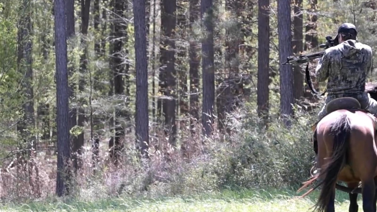 Matt Busbice's Start in Viral Hunting - Viral Outdoors (Season 5 ...