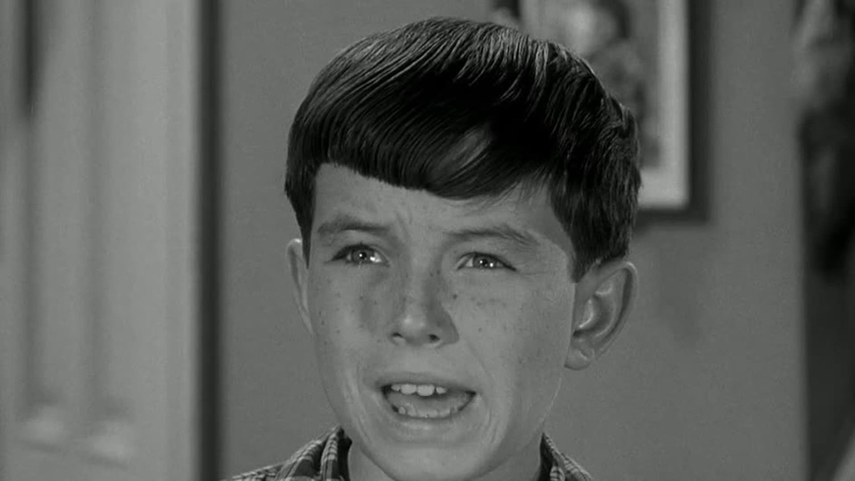 Beaver's Freckles – Leave It to Beaver (Season 4, Episode 5) - Apple TV ...
