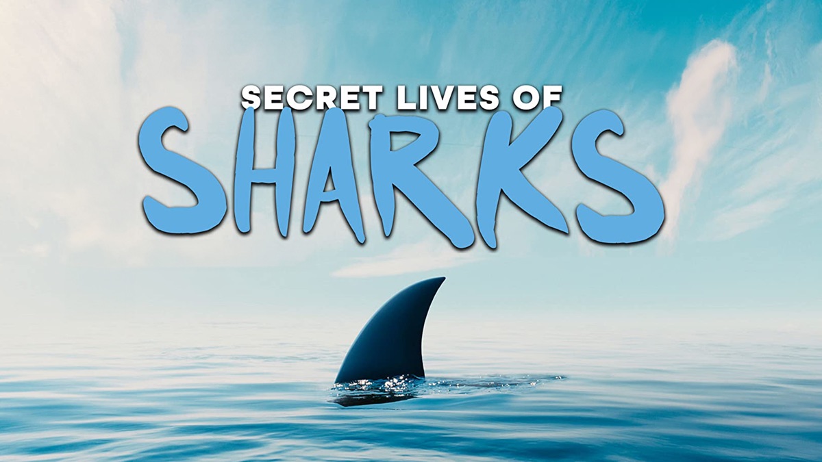 ‎The Secret Lives of Sharks - Apple TV