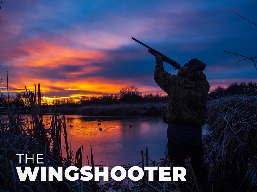 The Wingshooter - Apple TV