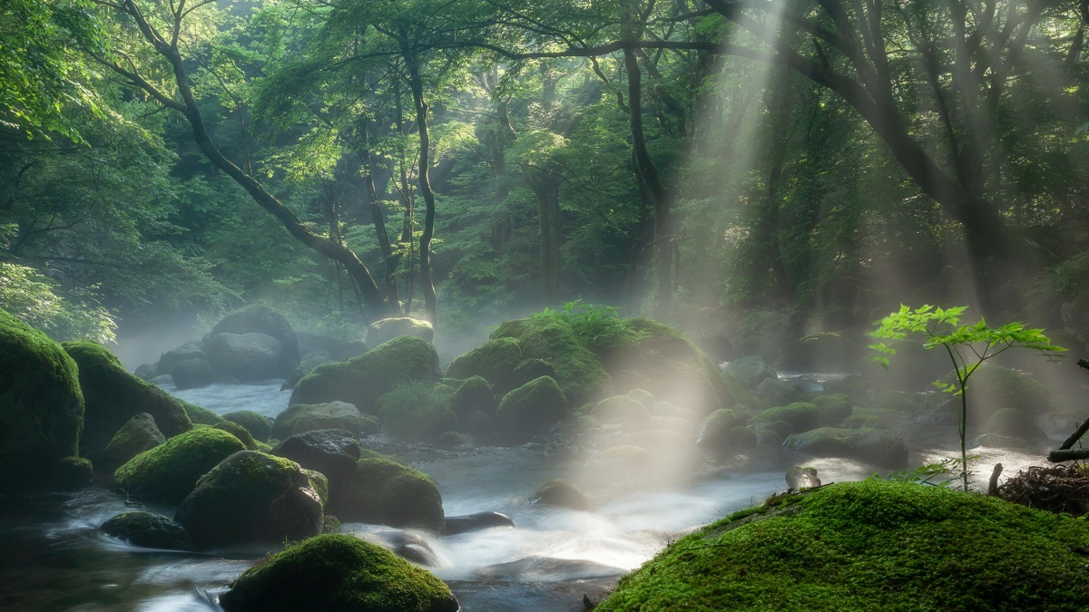 A Practice of Authentic Prayer - Apple TV