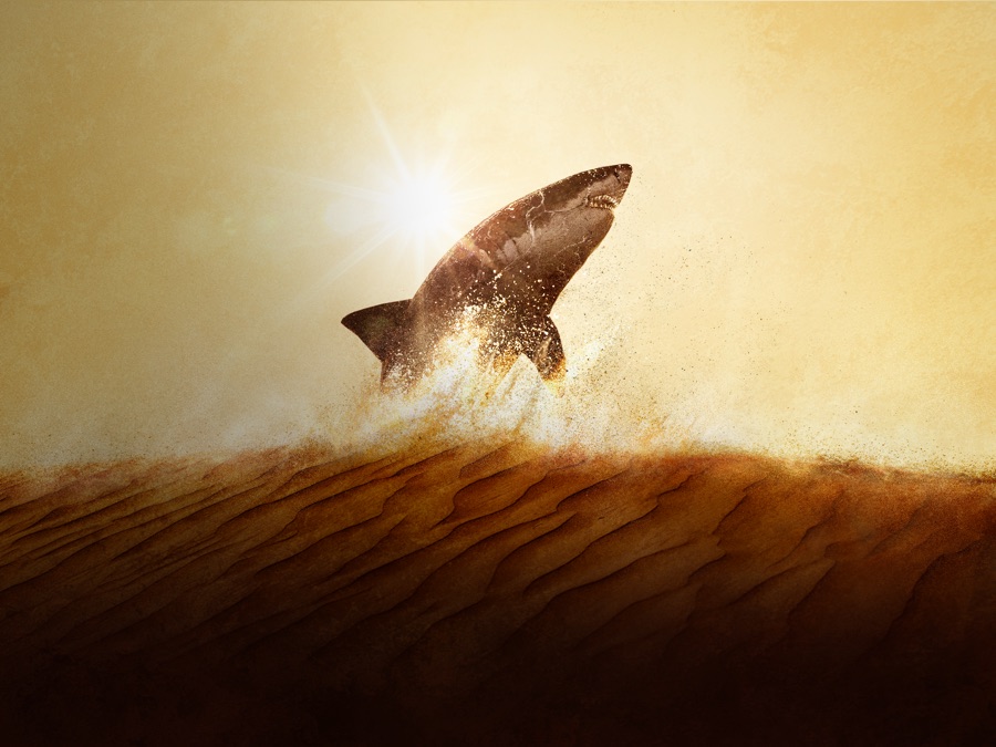 Attack of the Red Sea Sharks - Apple TV