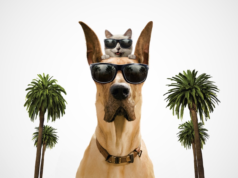 Marmaduke - Apple TV