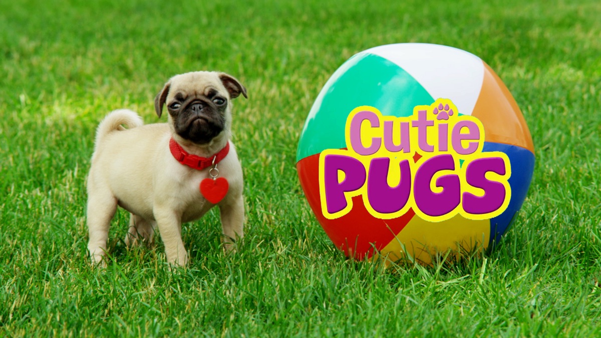 ‎Cutie Pugs - Apple TV