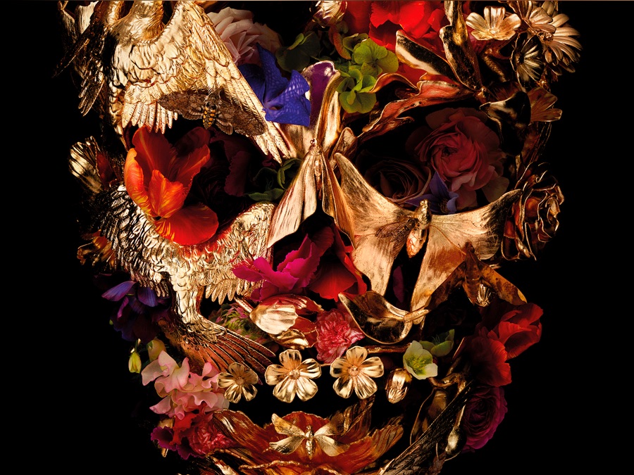 McQueen - Apple TV (NZ)