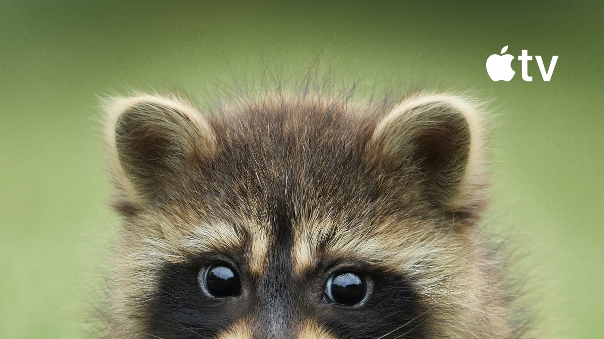 ‎Watch The Secret Lives of Animals - Apple TV