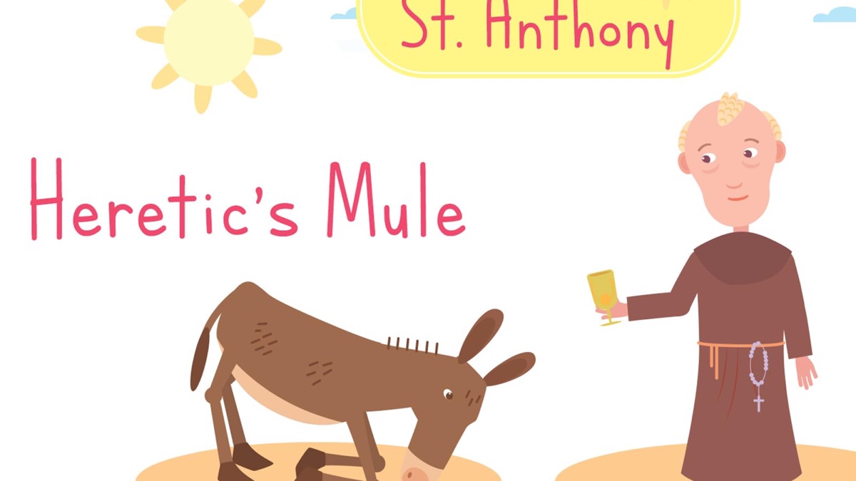 Heretic's Mule | Miracles of Saint Anthony - Miracles of Saints (Series ...