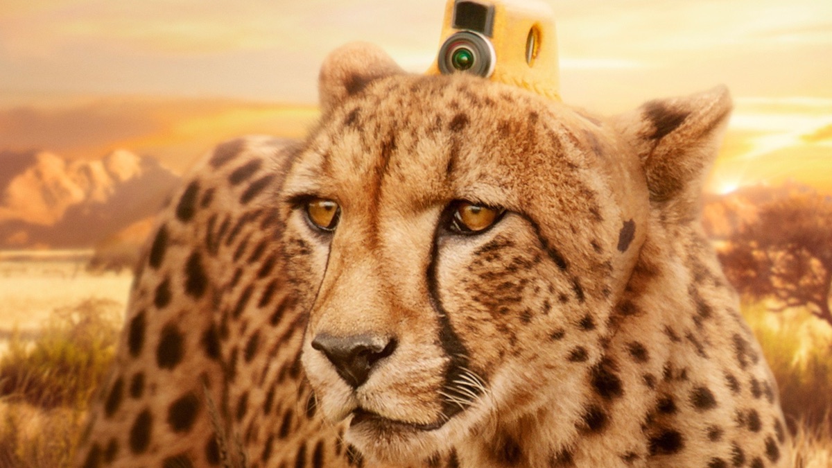 Animals with Cameras - Apple TV (UK)