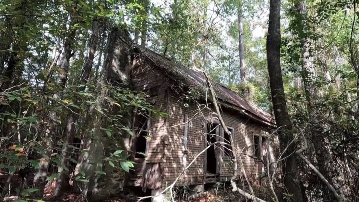 ‎Wendigo in Kentucky and More - Paranormal sur le vif (saison 7 ...