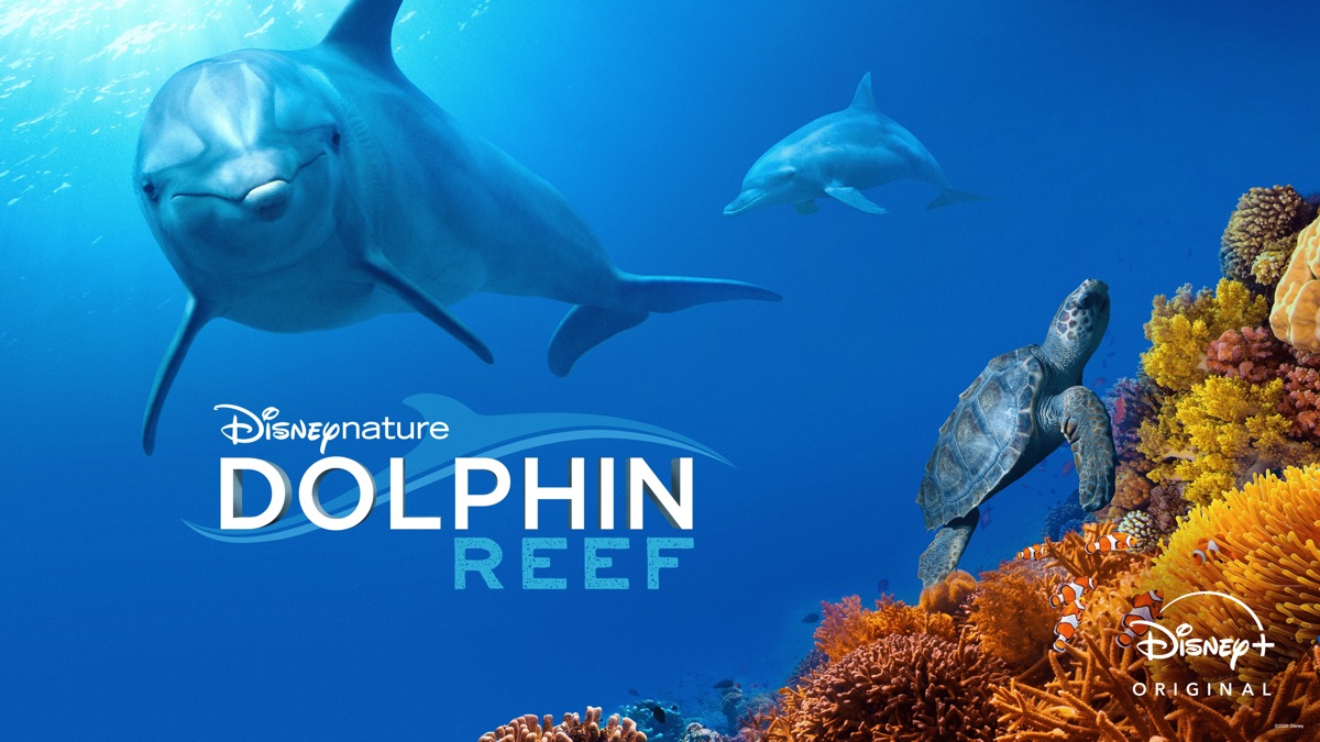 ‎Dolphin Reef - Apple TV