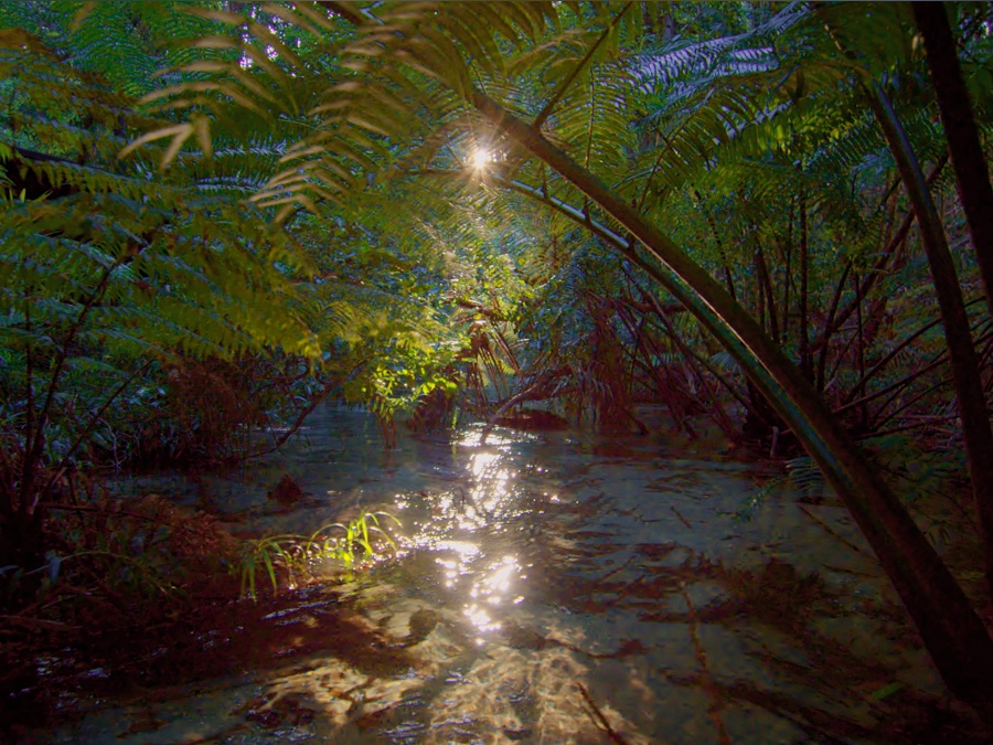 Australia's Hidden Islands - Apple TV (BR)