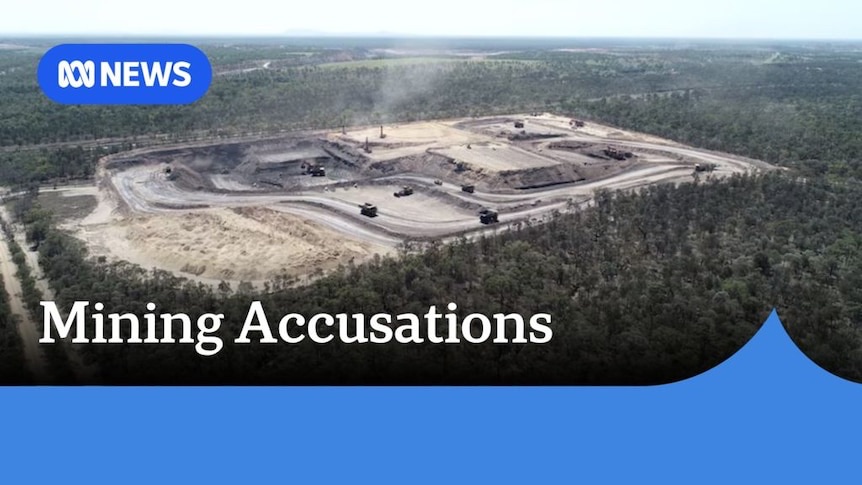 Mining company accused of clearing koala habitat and illegal coal ...