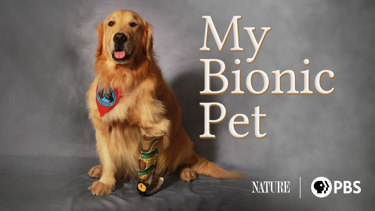 My Bionic Pet - Apple TV