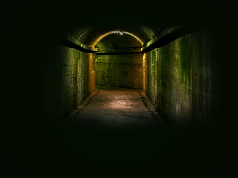 Secret Nazi Expeditions - Apple TV (CA)