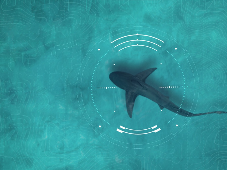 Shark Trek - Apple TV (ES)