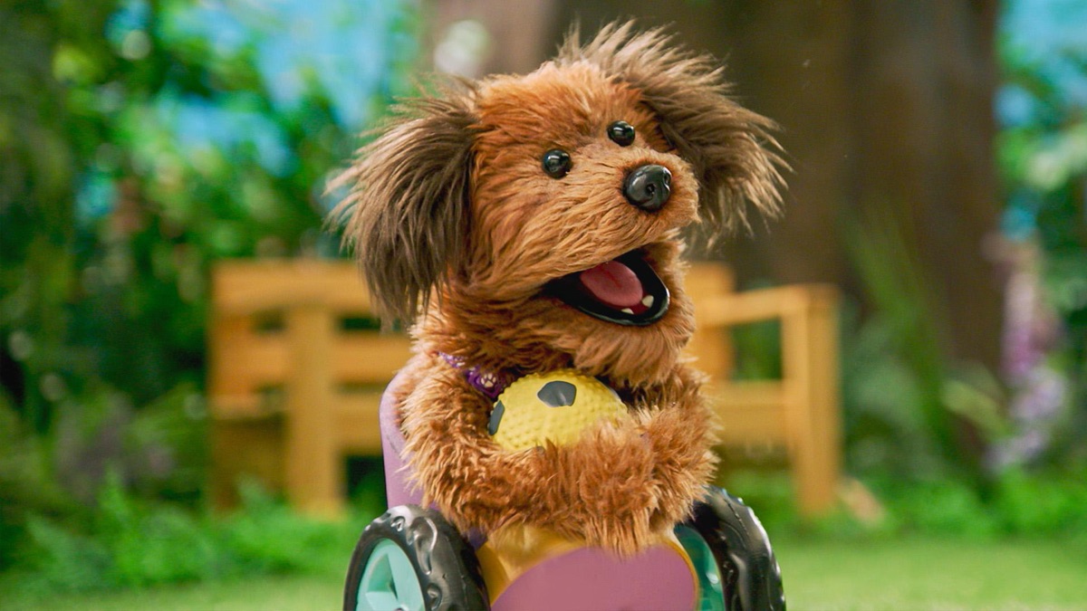 Squeak Day - Pull Your Pup Socks Up 2 - Dodge's Pup School (Series 2 ...