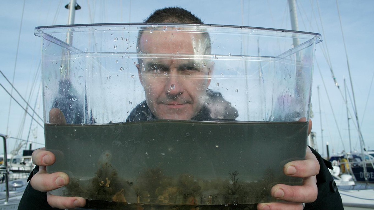 Cannabis - The Evil Weed - Apple TV (日本)