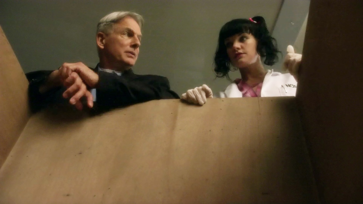 暗殺計画・NCIS ～ネイビー犯罪捜査班（シーズン8、第8話） - Apple TV (日本)