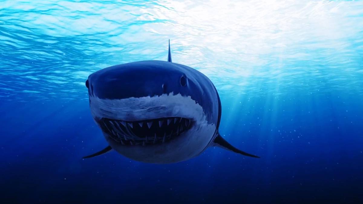 Camp Blood: Clown Shark - Apple TV