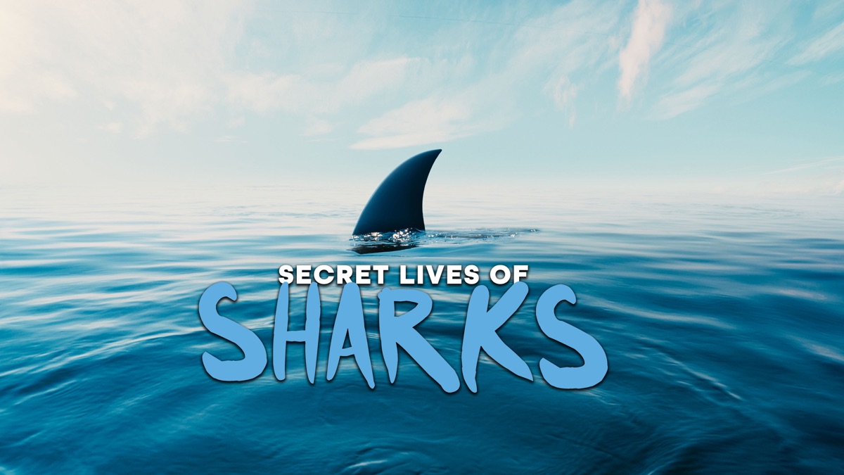 ‎Secret Lives of Sharks - Apple TV
