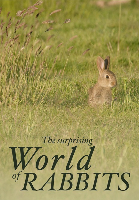 ‎Surprising World Of Rabbits - Apple TV