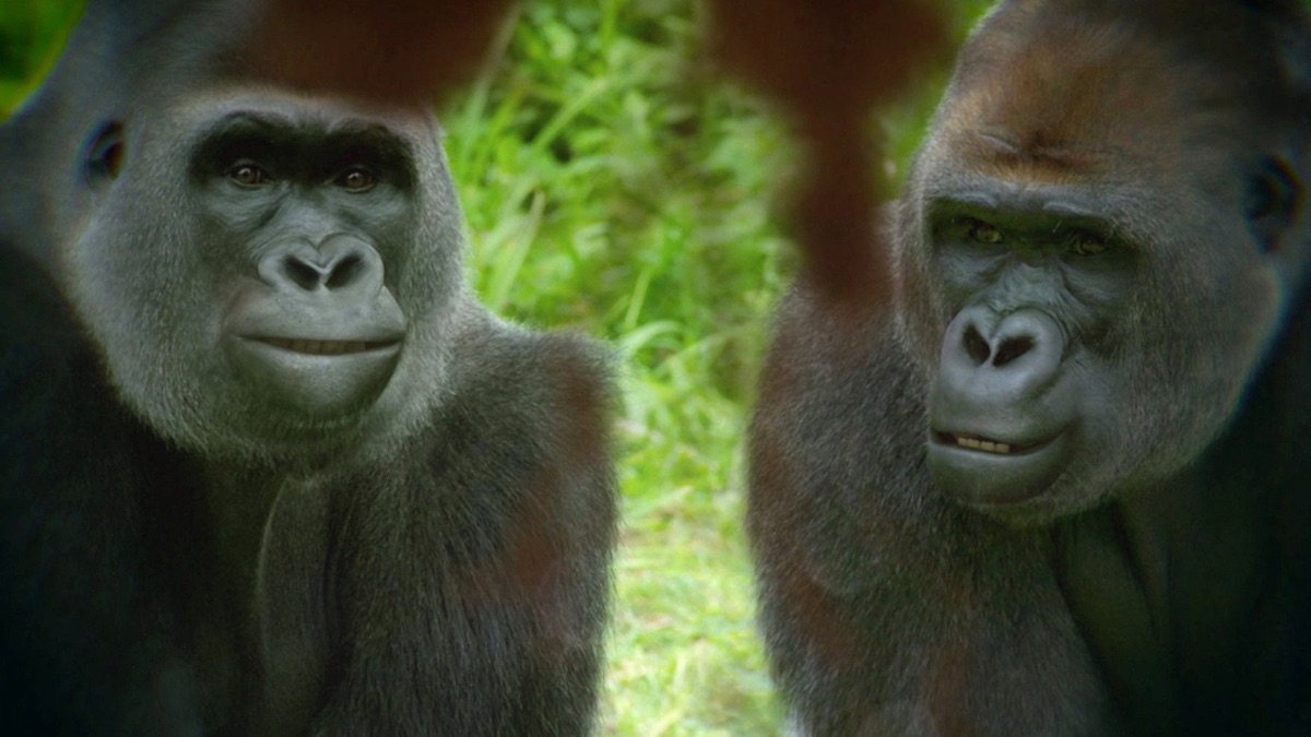 ‎Jurgen: Simply The Worst/Woody's Top Ten – The Zoo (Season 2, Episode ...