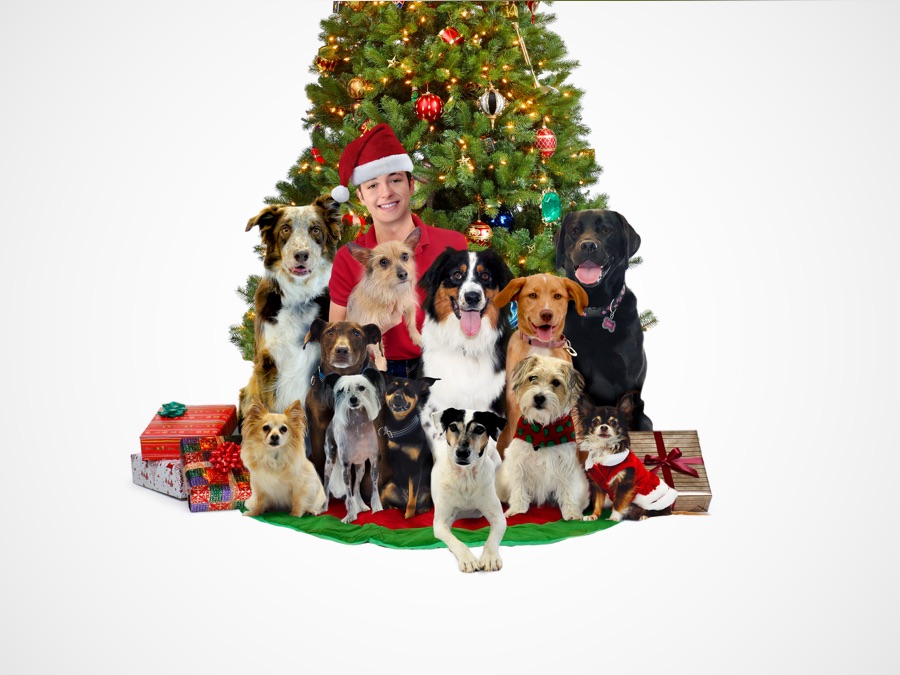 12 Dog Days Till Christmas - Apple TV