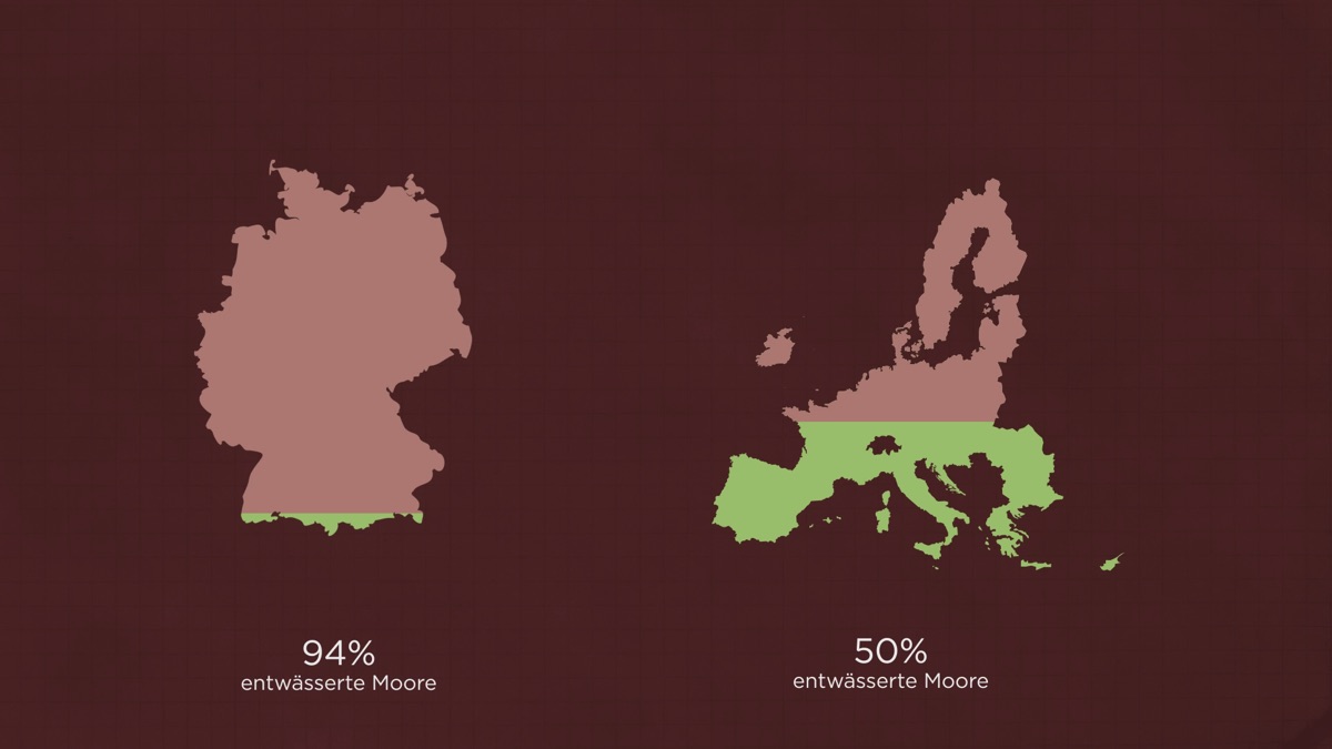 ‎Der Zustand der Moore und die Folgen der Urbarmachung - Das Moor als ...