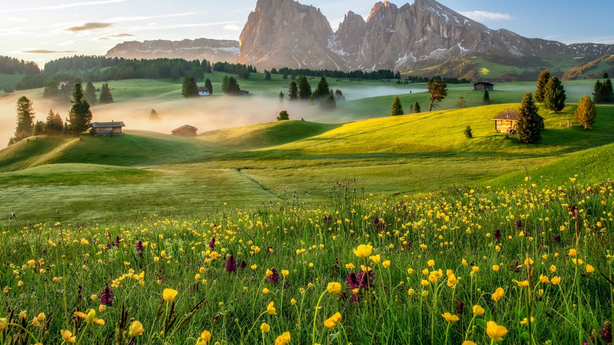 Midday Check In - Apple TV