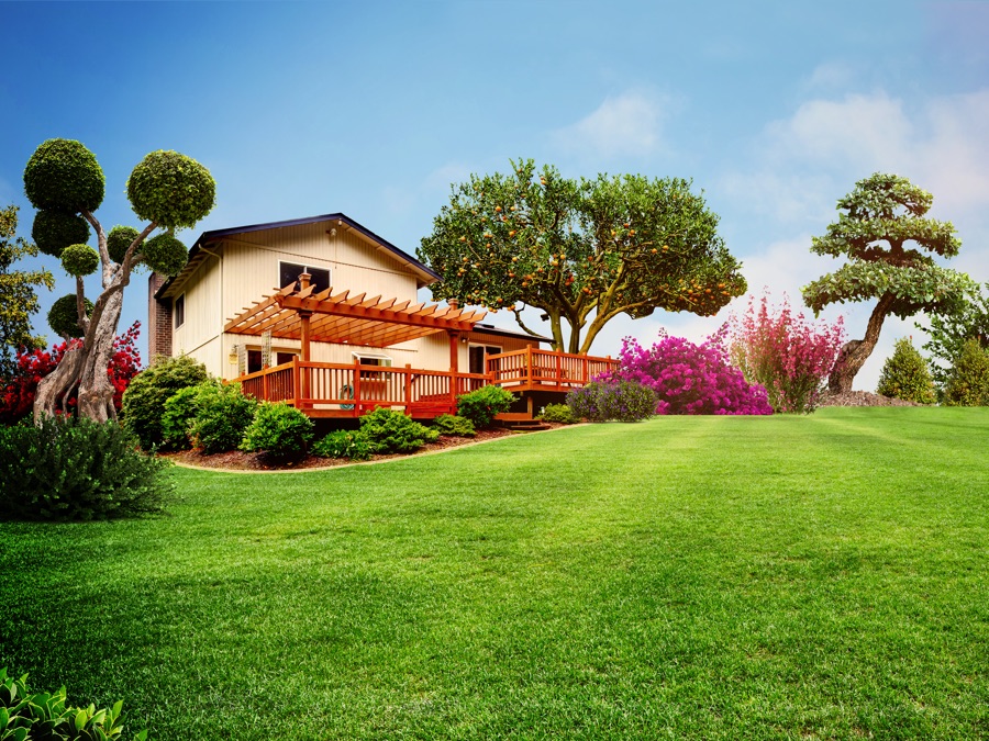 Curb Appeal Xtreme - Apple TV