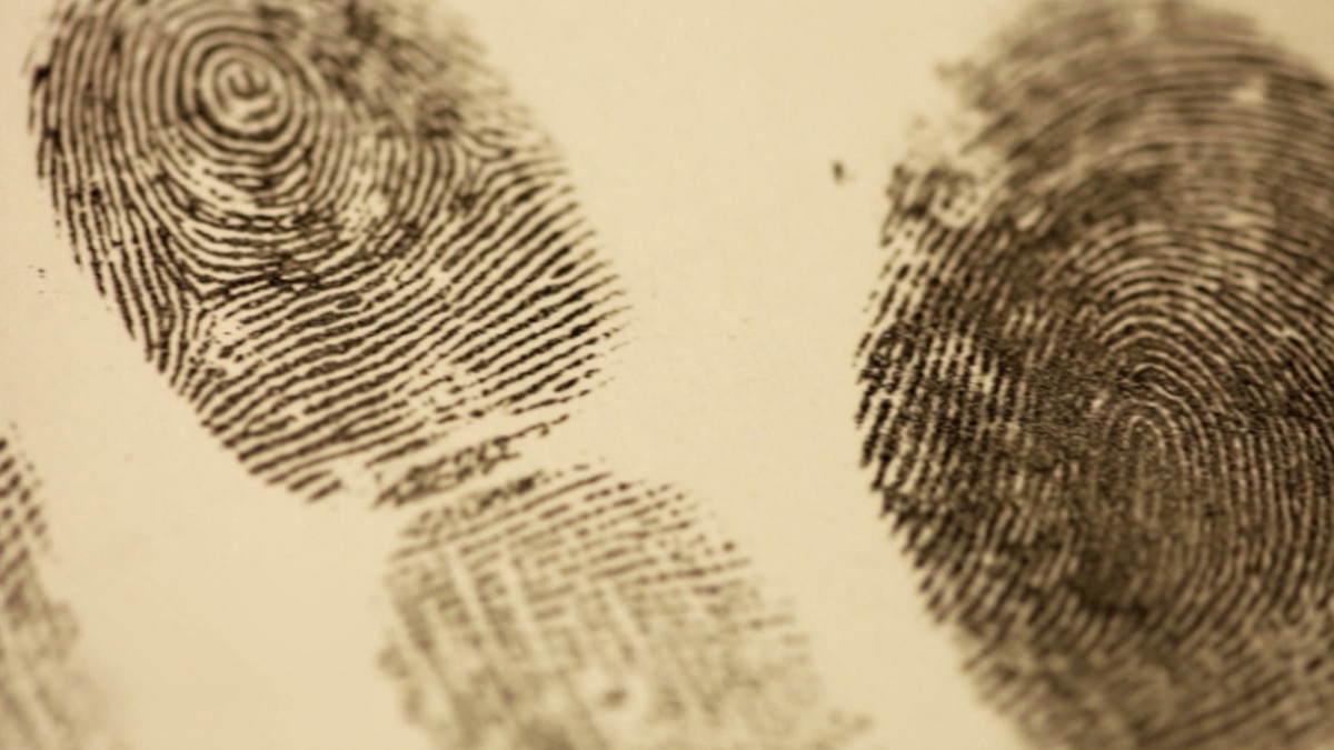 Siegler-Moris, retour à la case prison - Faites entrer l'accusé (saison ...