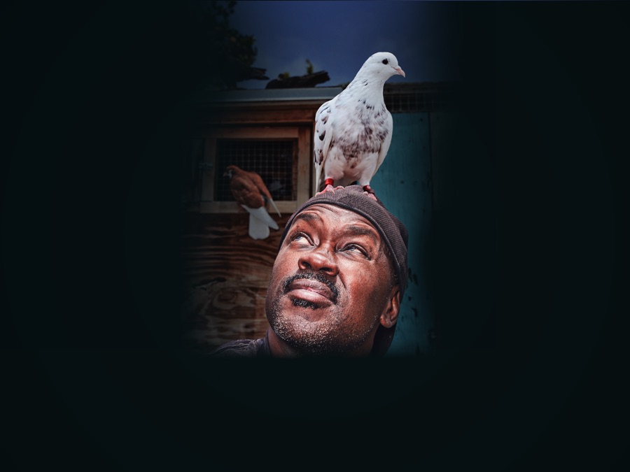 Pigeon Kings - Apple TV (NZ)