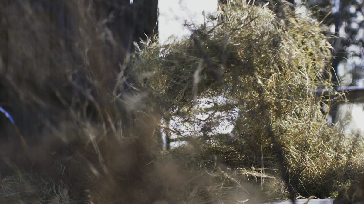 Susan Monica - Snapped (Season 29, Episode 2) - Apple TV