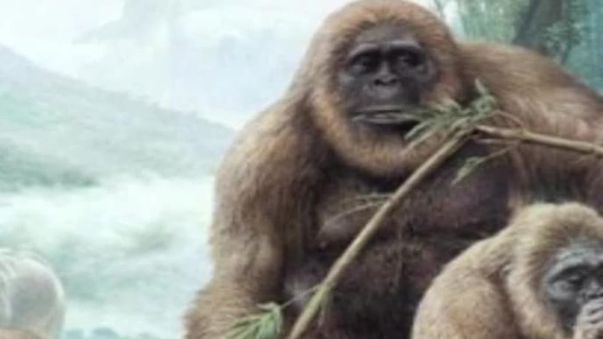 Bigfoot Files 2: Sightings in Michigan - Apple TV