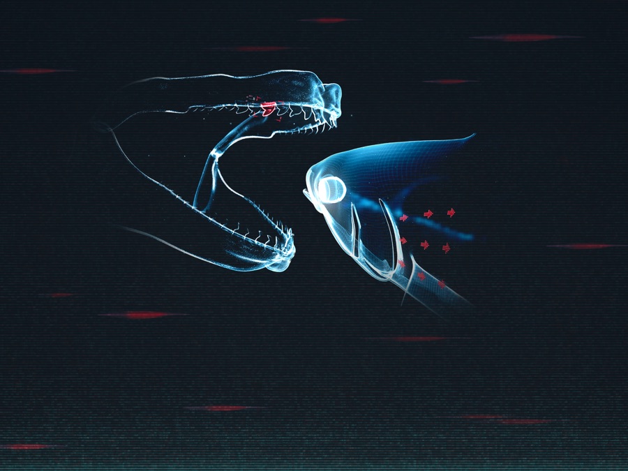 Shark Vs. Tuna - Apple TV