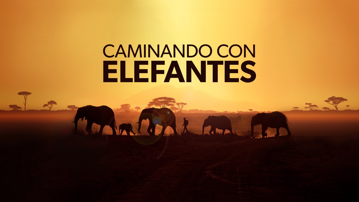 ‎Caminando con elefantes - Apple TV