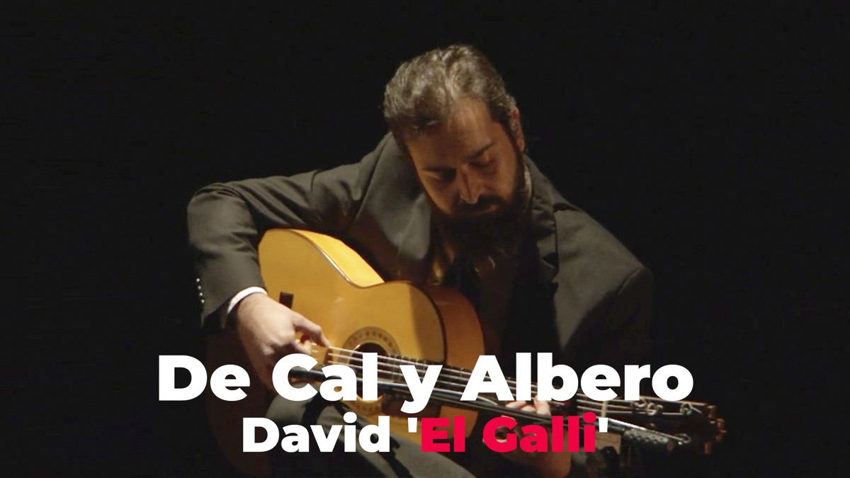 David 'El Galli'. De Cal y Albero - Apple TV (ES)