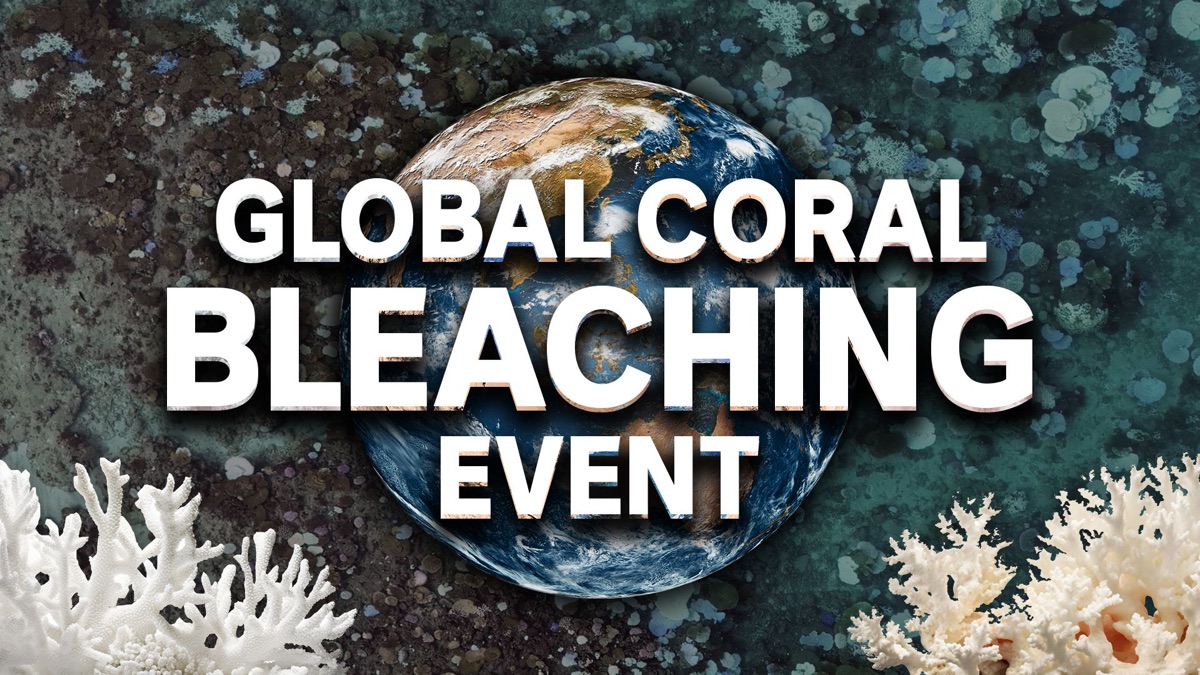 Mass Coral Bleaching Event - BTN Newsbreak - Apple TV (AU)