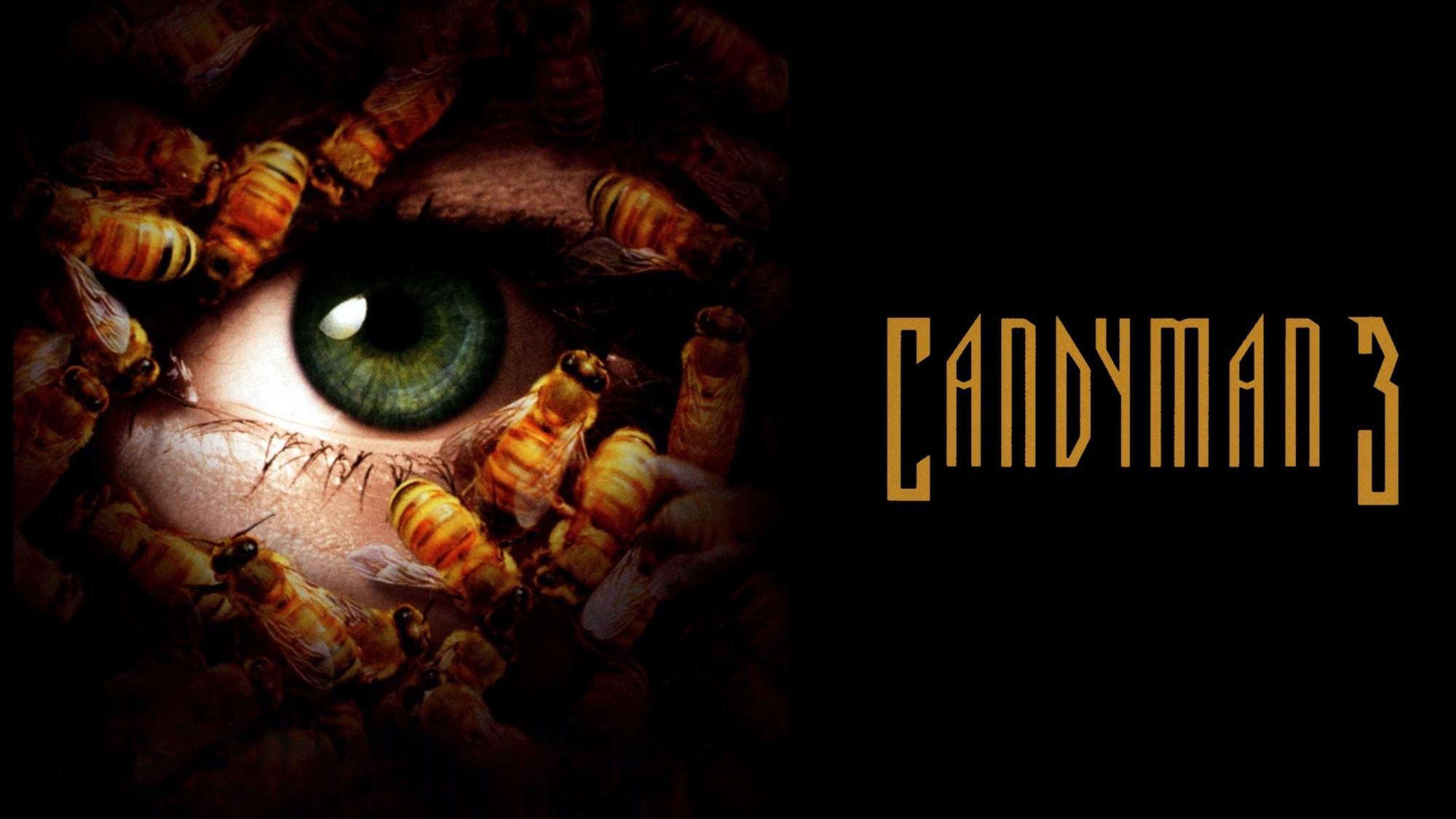Candyman 3: Day of the Dead | Apple TV