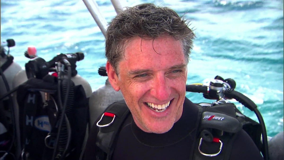 Shark Bites: Adventures In Shark Week - Shark Week (Season 22, Episode ...