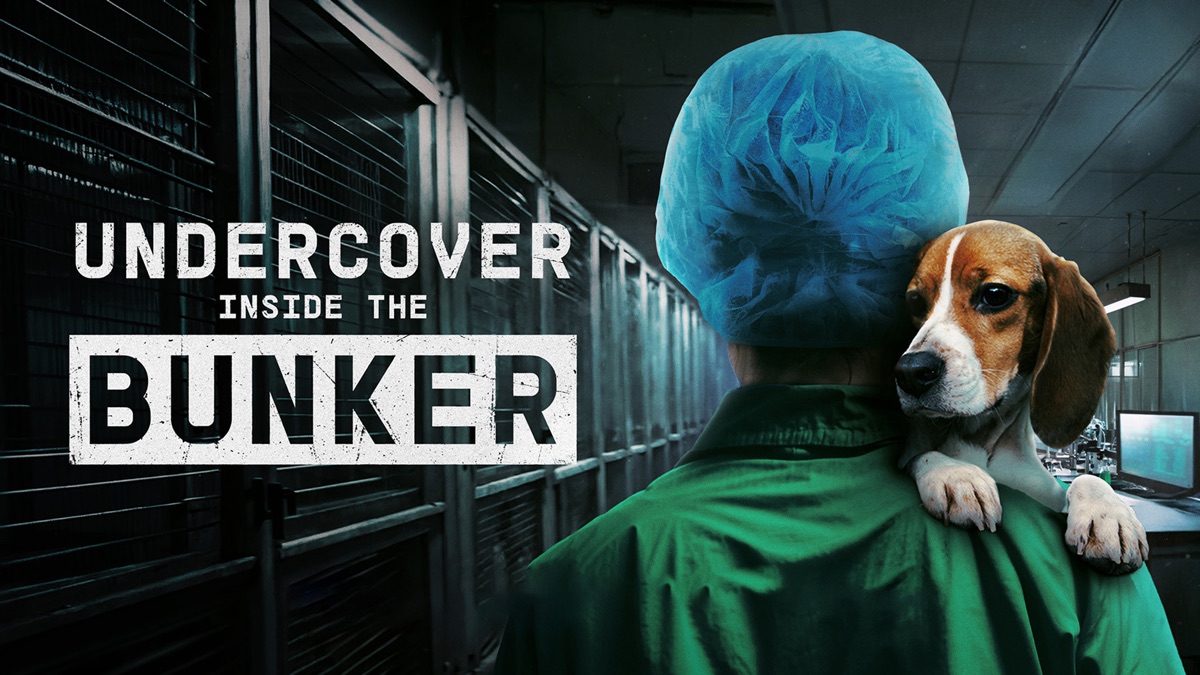 ‎Undercover. Inside the bunker - Apple TV