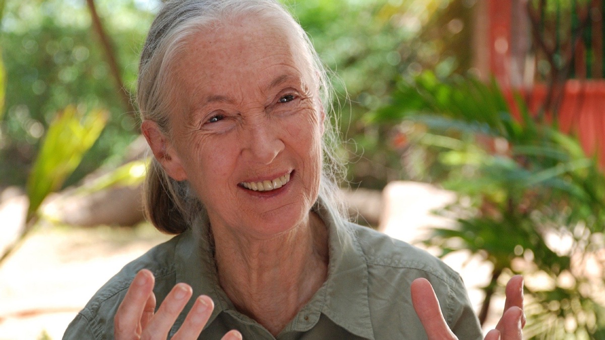 Jane's Journey - Apple TV