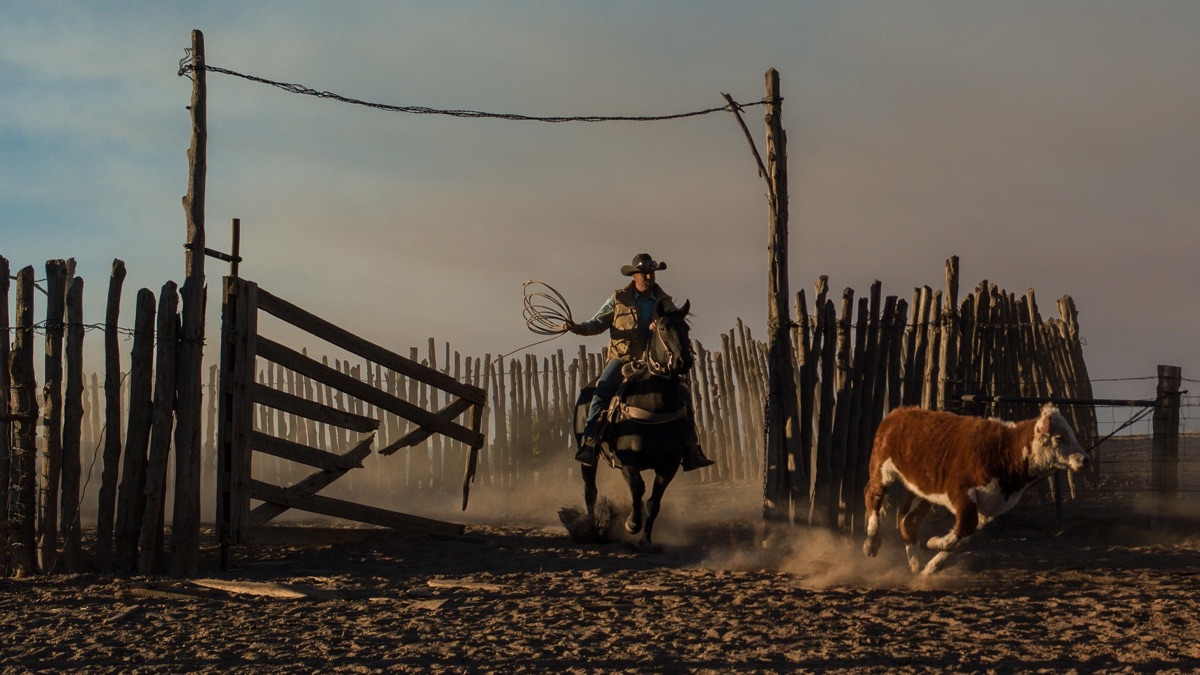 Cowboys - Apple TV