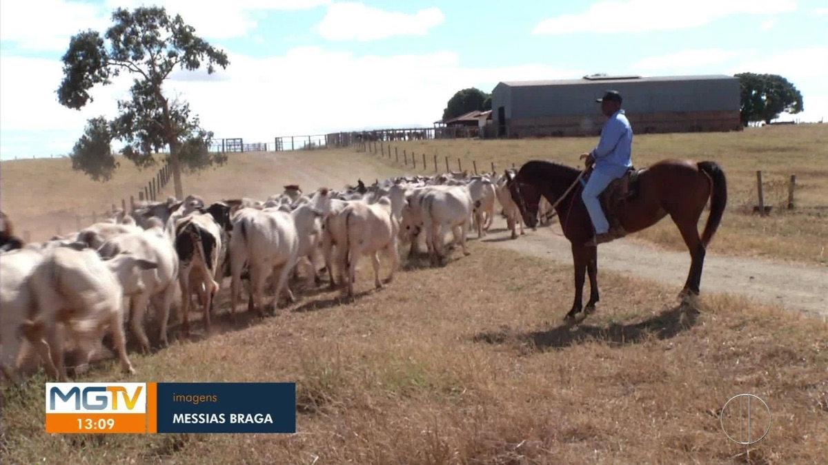 Íntegra do MG Inter TV 1ª Edição deste sábado, 21 de setembro de 2024 ...