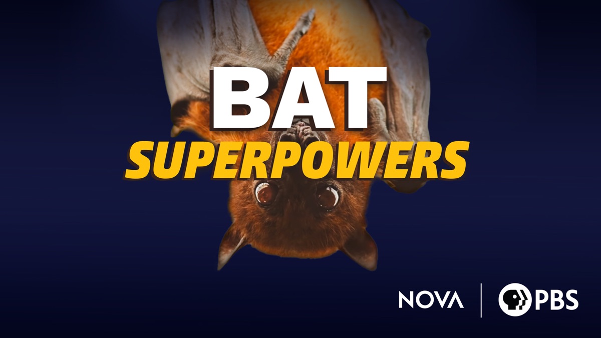 Bat Superpowers - Apple TV