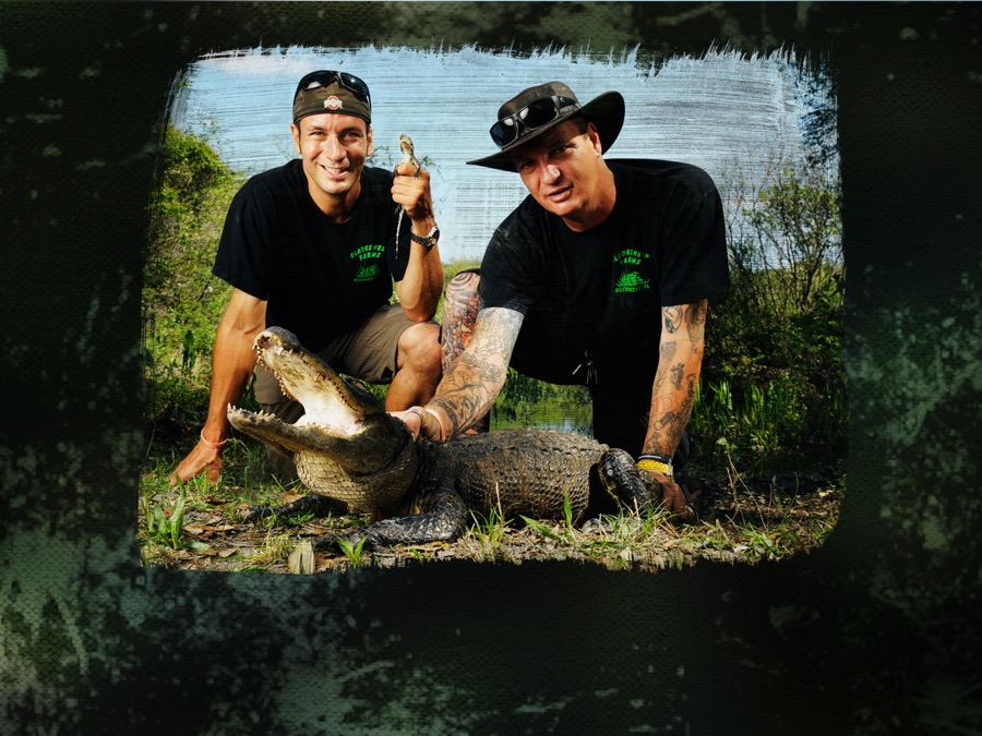 Swamp Brothers - Apple TV (BR)