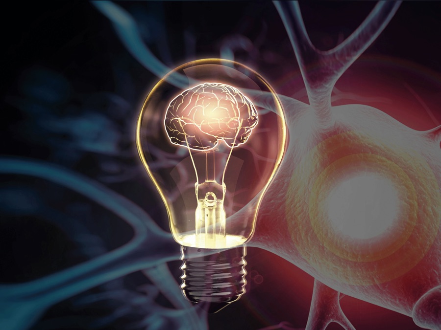 The Learning Brain - Apple TV