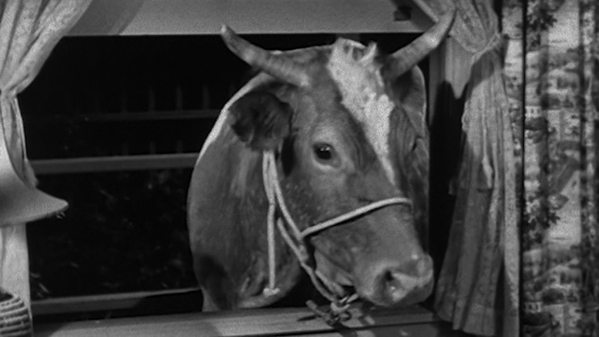 The McCoy Sound - The Real McCoys (Season 6, Episode 32) - Apple TV