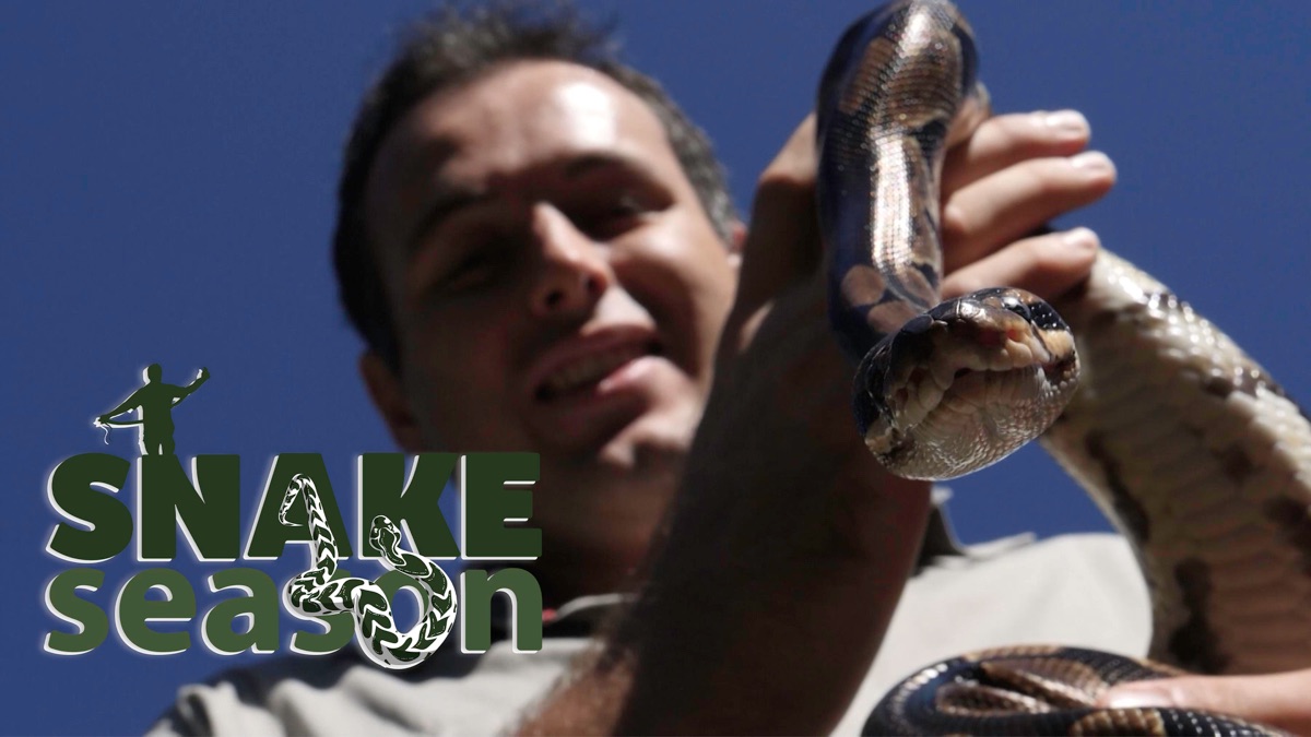 ‎Snake Season —Apple TV